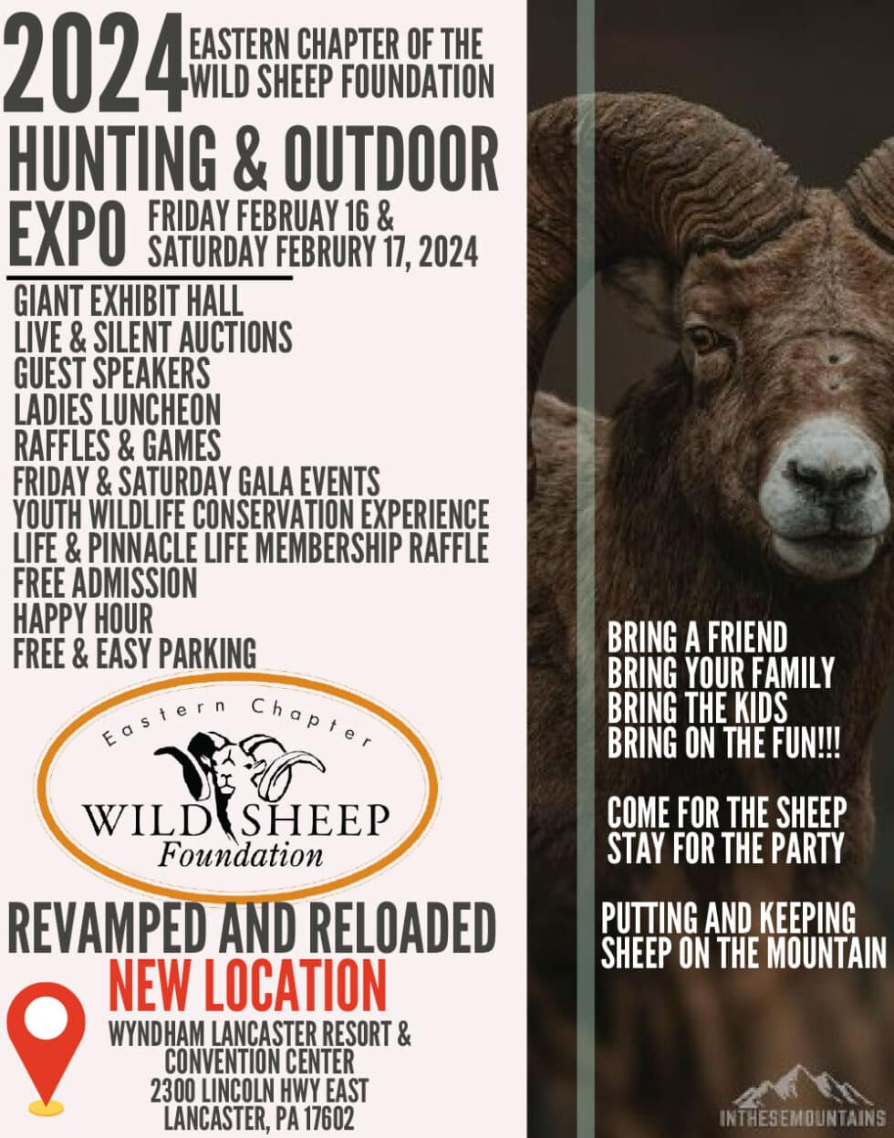 Wild Sheep Conservation | ECWSF