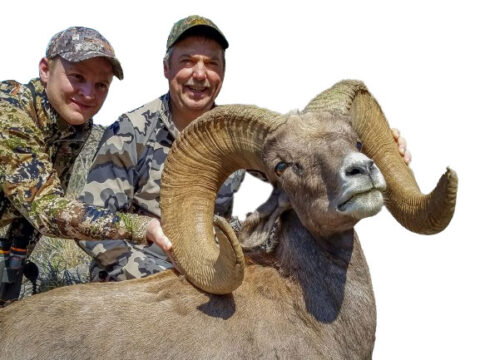 La Palmosa Desert Sheep Raffle | Eastern Chapter Wild Sheep Foundation